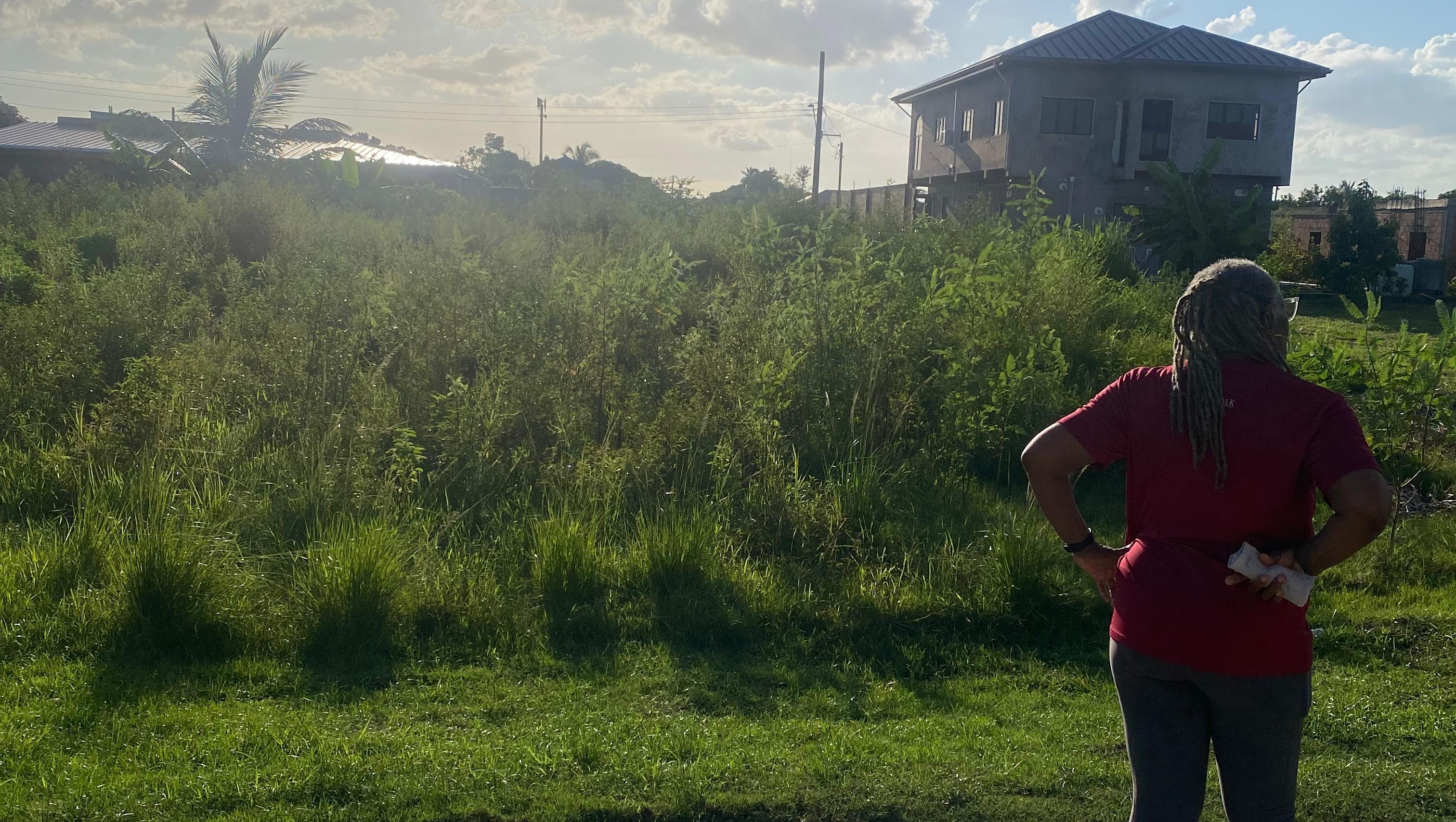 Fundraiser by Kearra Gopee : Help Build an Artist Residency in Trinidad ...