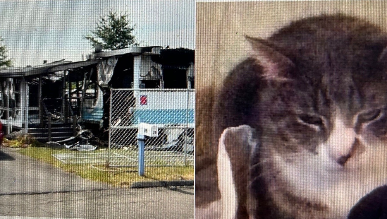 Fundraiser for Janice Ruder by Lisa Raff : Help Jan Rebuild After ...