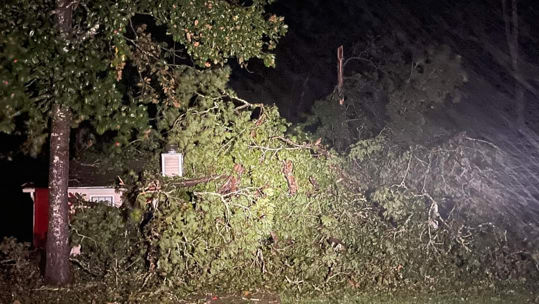 Fundraiser for Katy White by Chelsea Mills : Rebuild Hope for the White ...