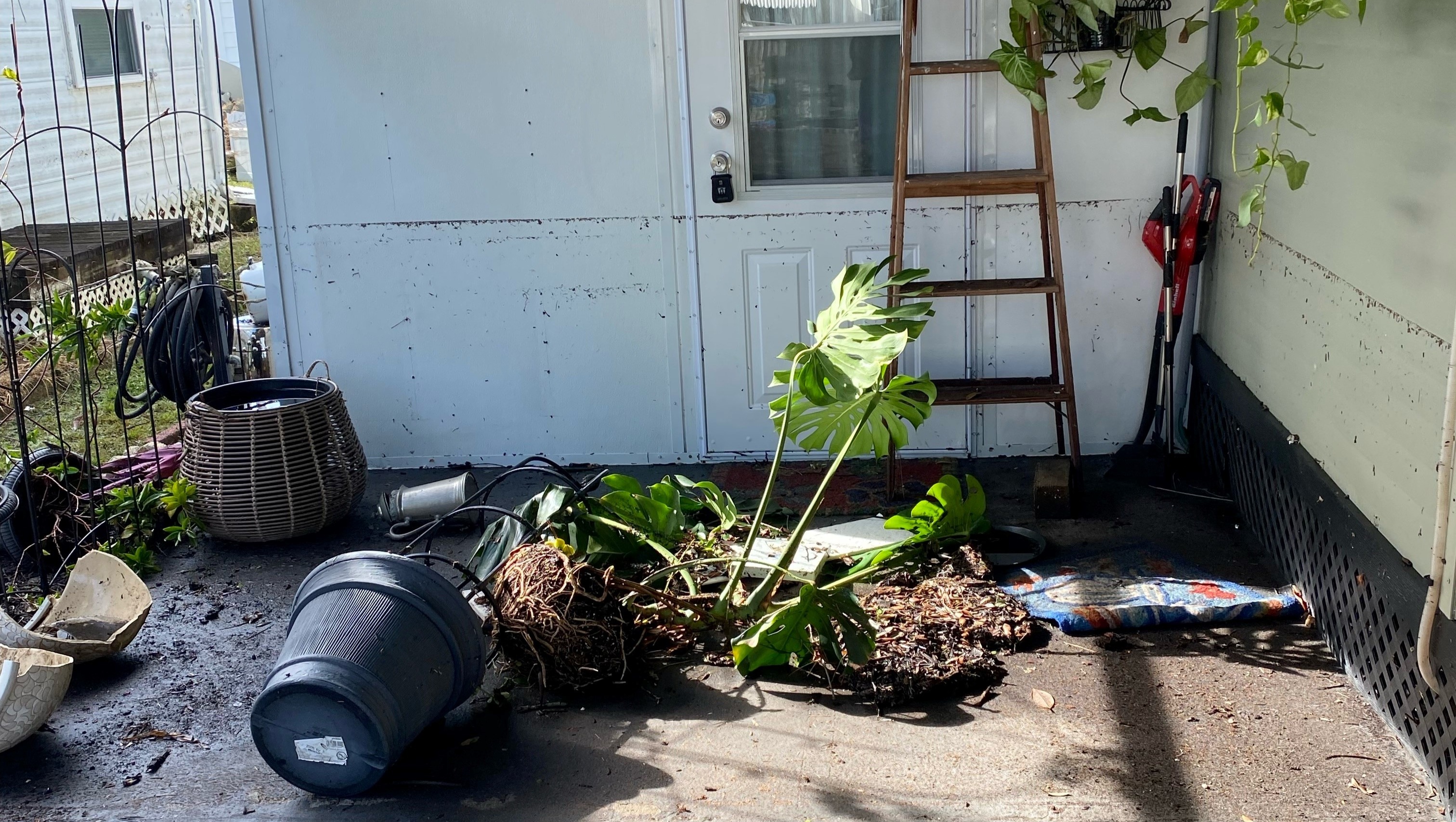 Cagnottes organisées par Debra Keltner : Help Debra Keltner and Riley ...