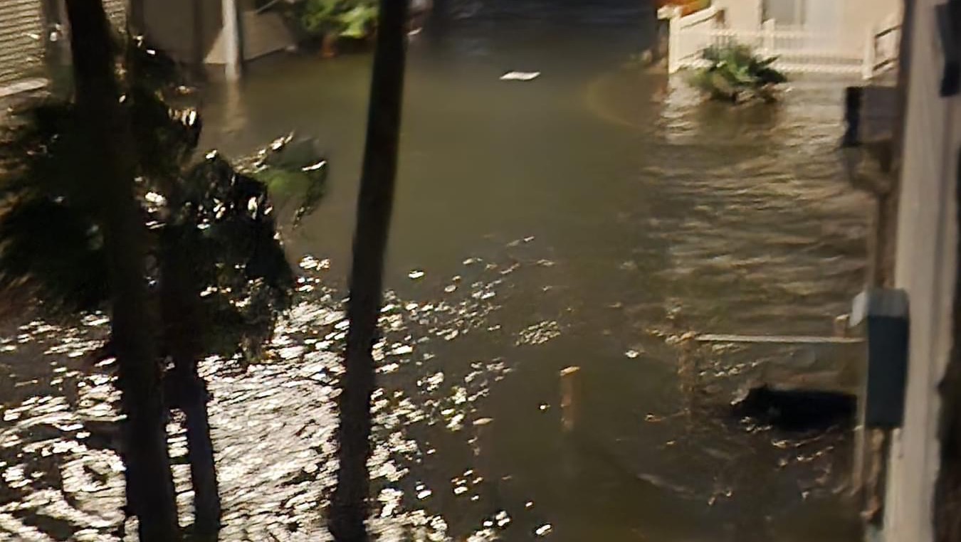 Fundraiser by Lori Nantkes : Help Rebuild After Hurricane Helene's Destruction