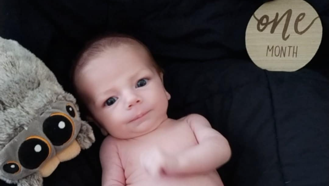 Fundraiser for Amanda Winn by Harlee Stackhouse : Support Amanda Winn ...