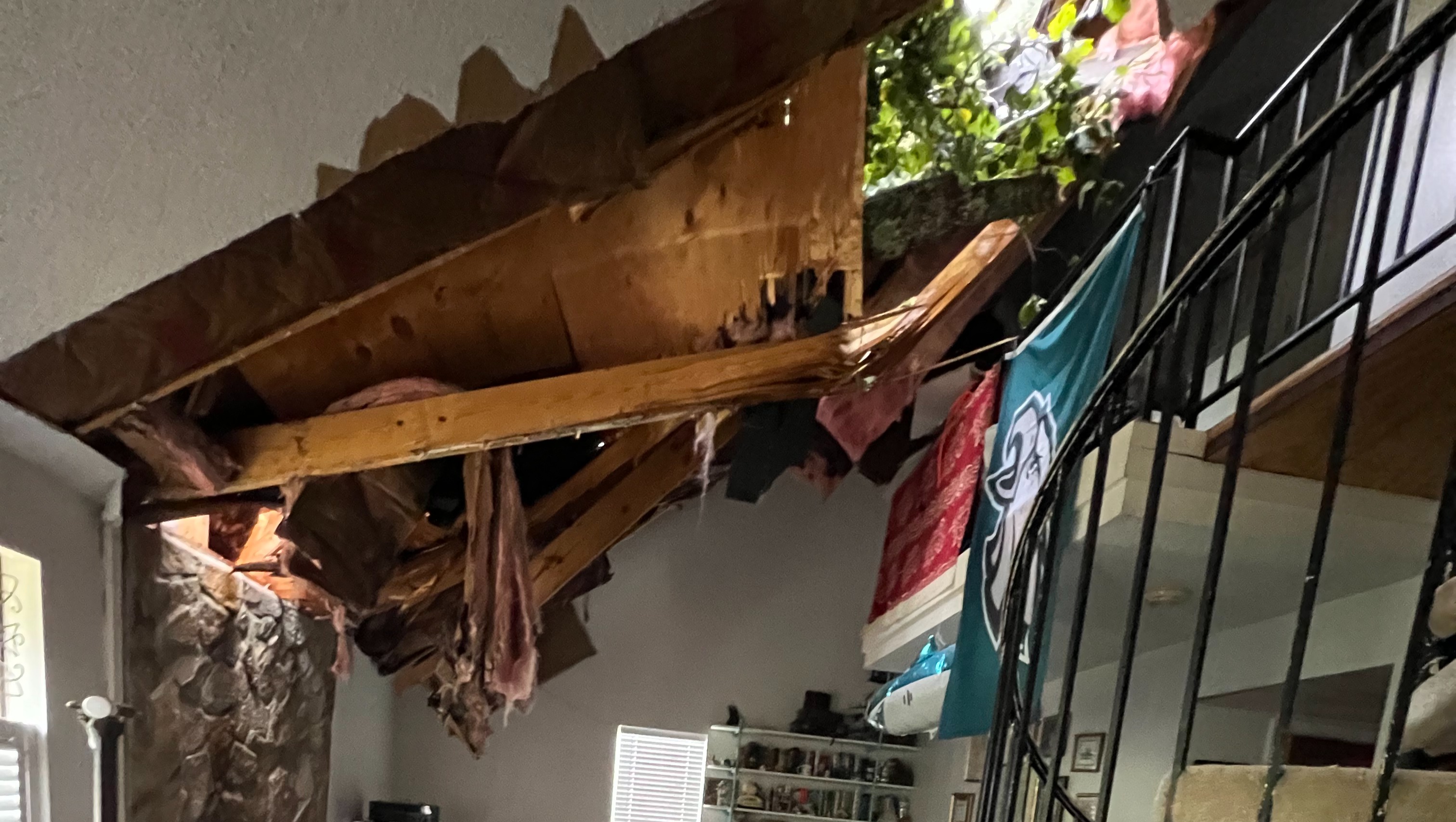 Fundraiser for Carly Seitz by Holland Tait : Help the Seitz Family ...