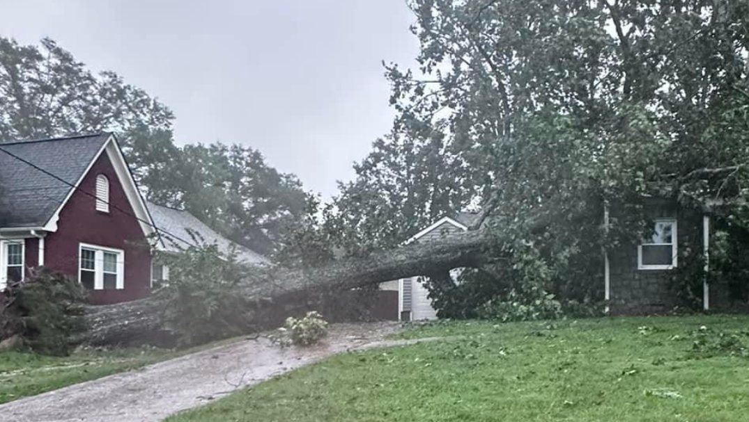 Fundraiser for David Greenley by Jennie Comber : Help Rebuild Dave ...