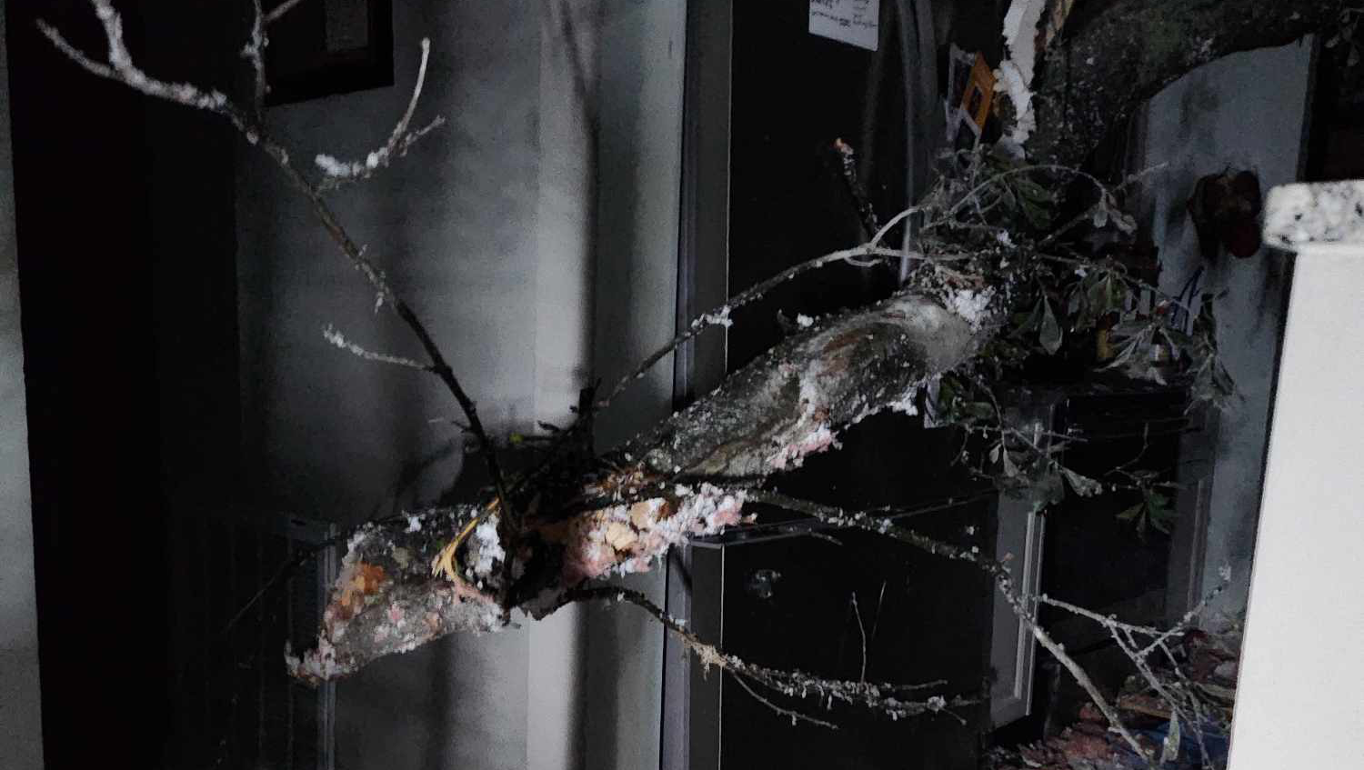 Fundraiser for Jill Rigsby by Jodi Veysey : Help Jillian Rebuild After ...