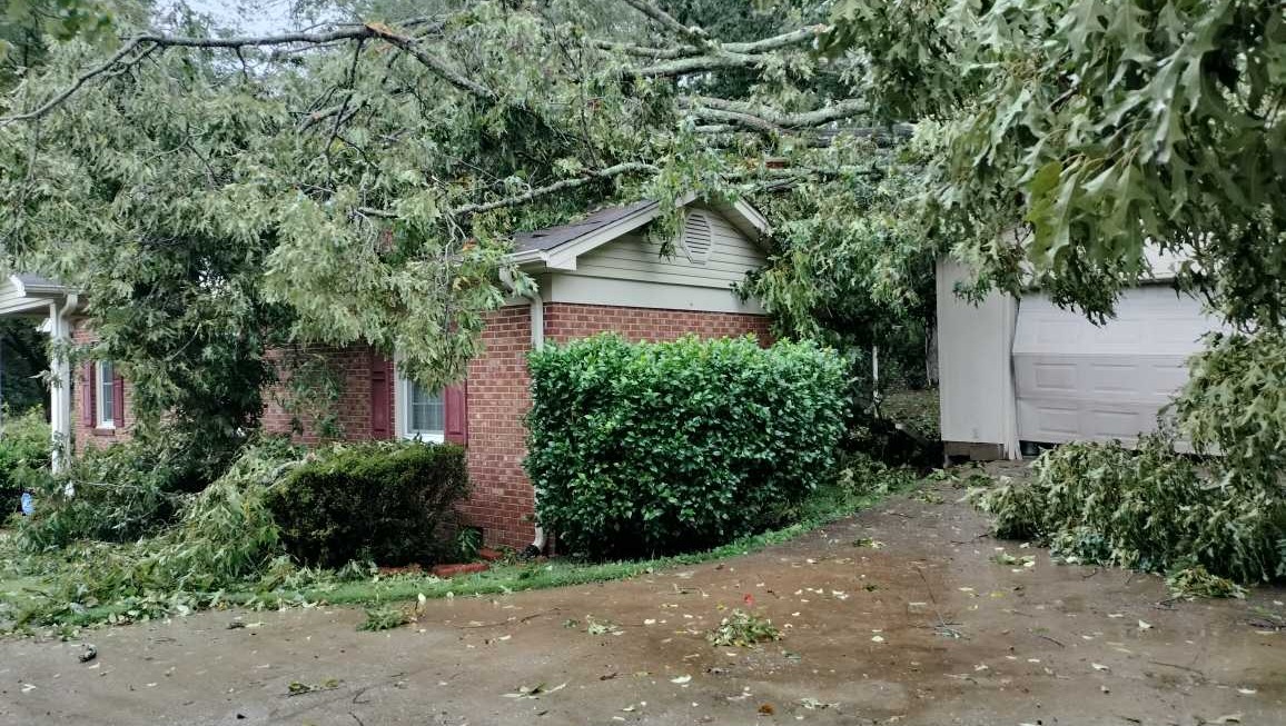 Fundraiser for Steve Passafaro by Angela Clarke : Help My Parents ...