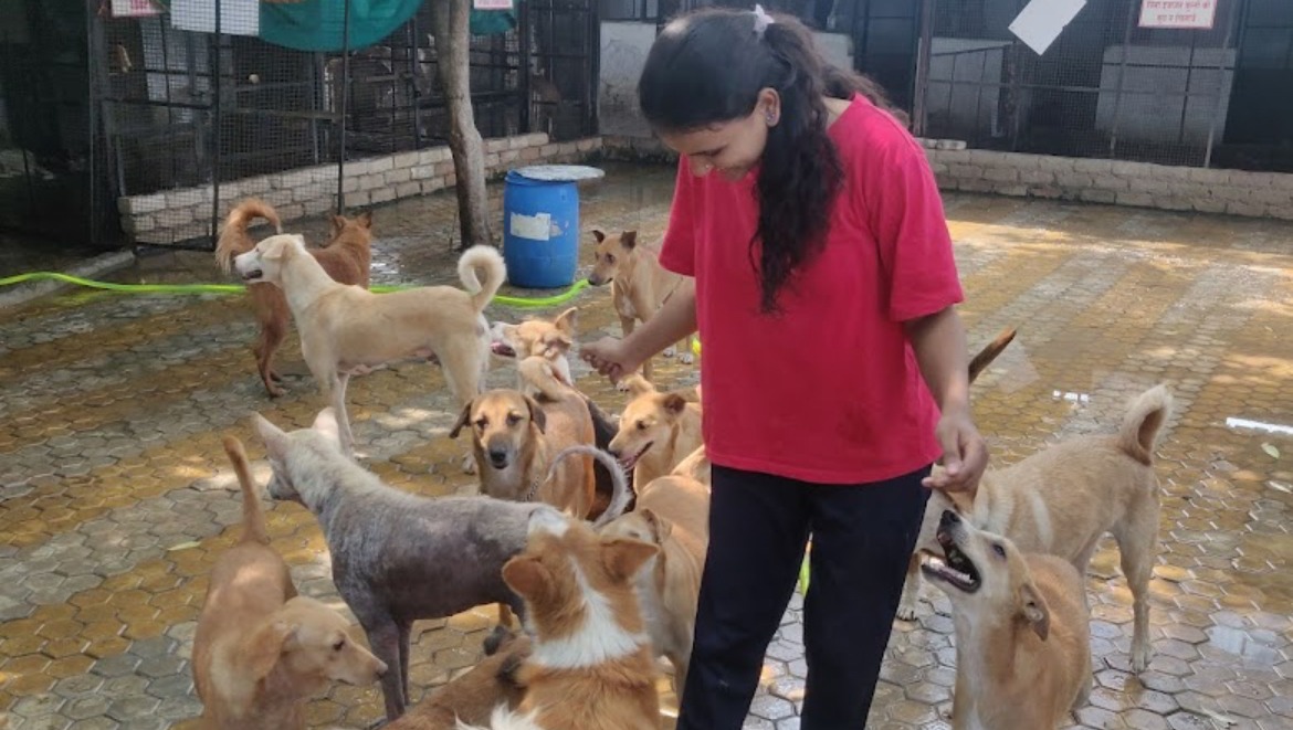 Fundraiser by Aarav Nanda : Help Smita rescue our furry friends in India...