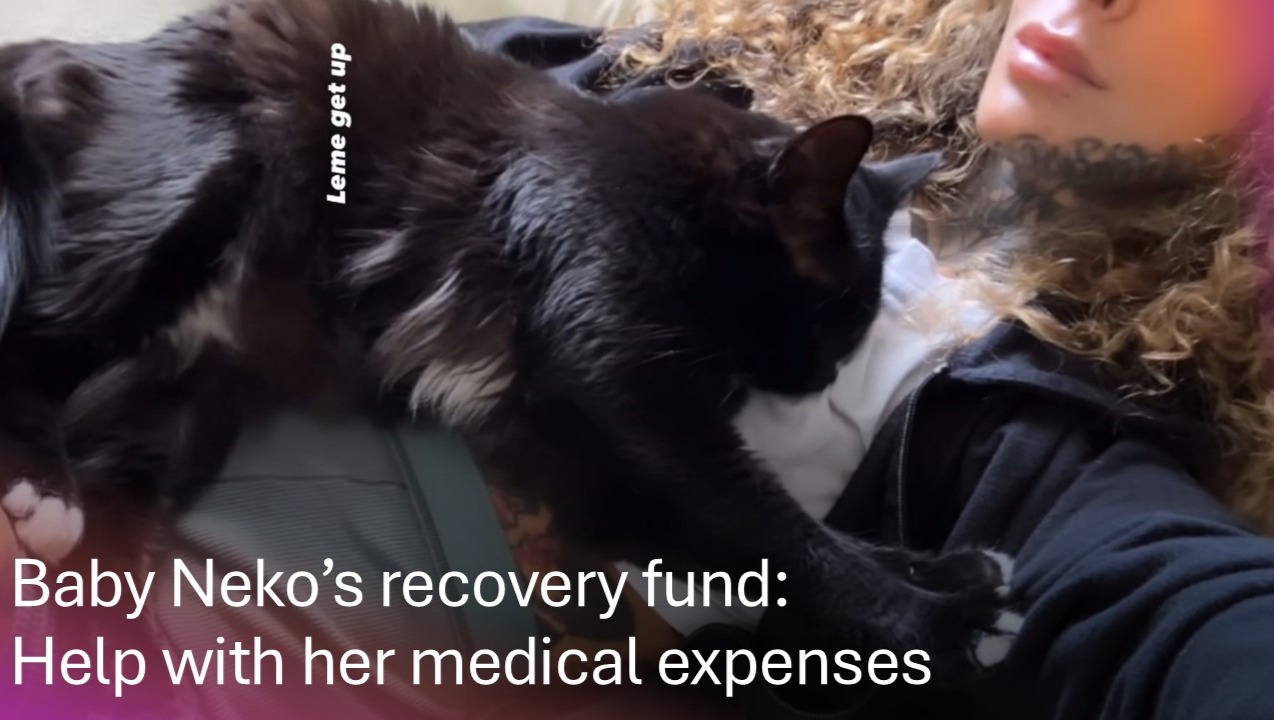 Fundraiser for Madysen Rosenberg by Aaron Jensen : Baby Neko’s recovery ...