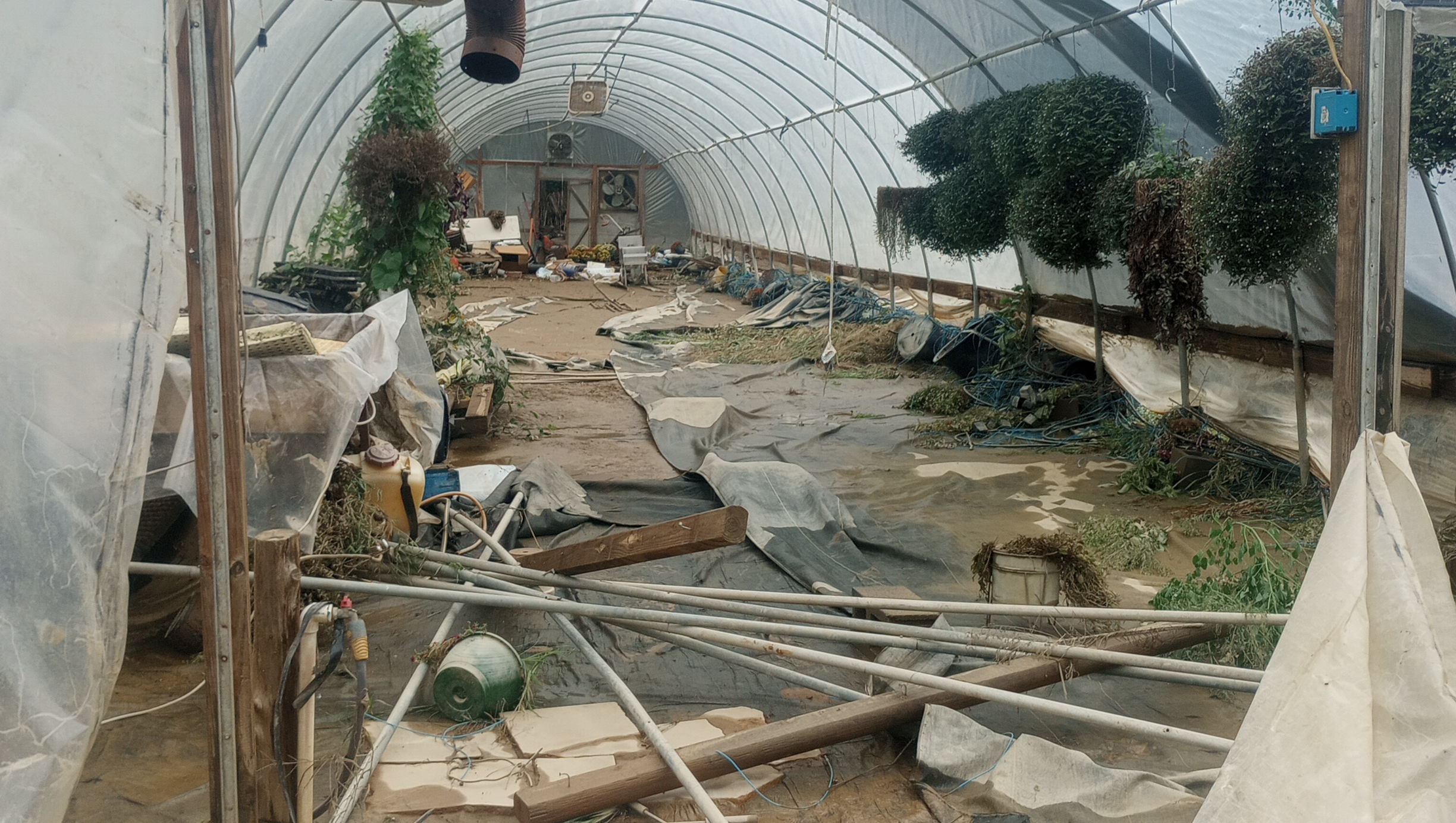 Fundraiser for David Shannon by Chelsie Shannon : Rebuild Hope at ...
