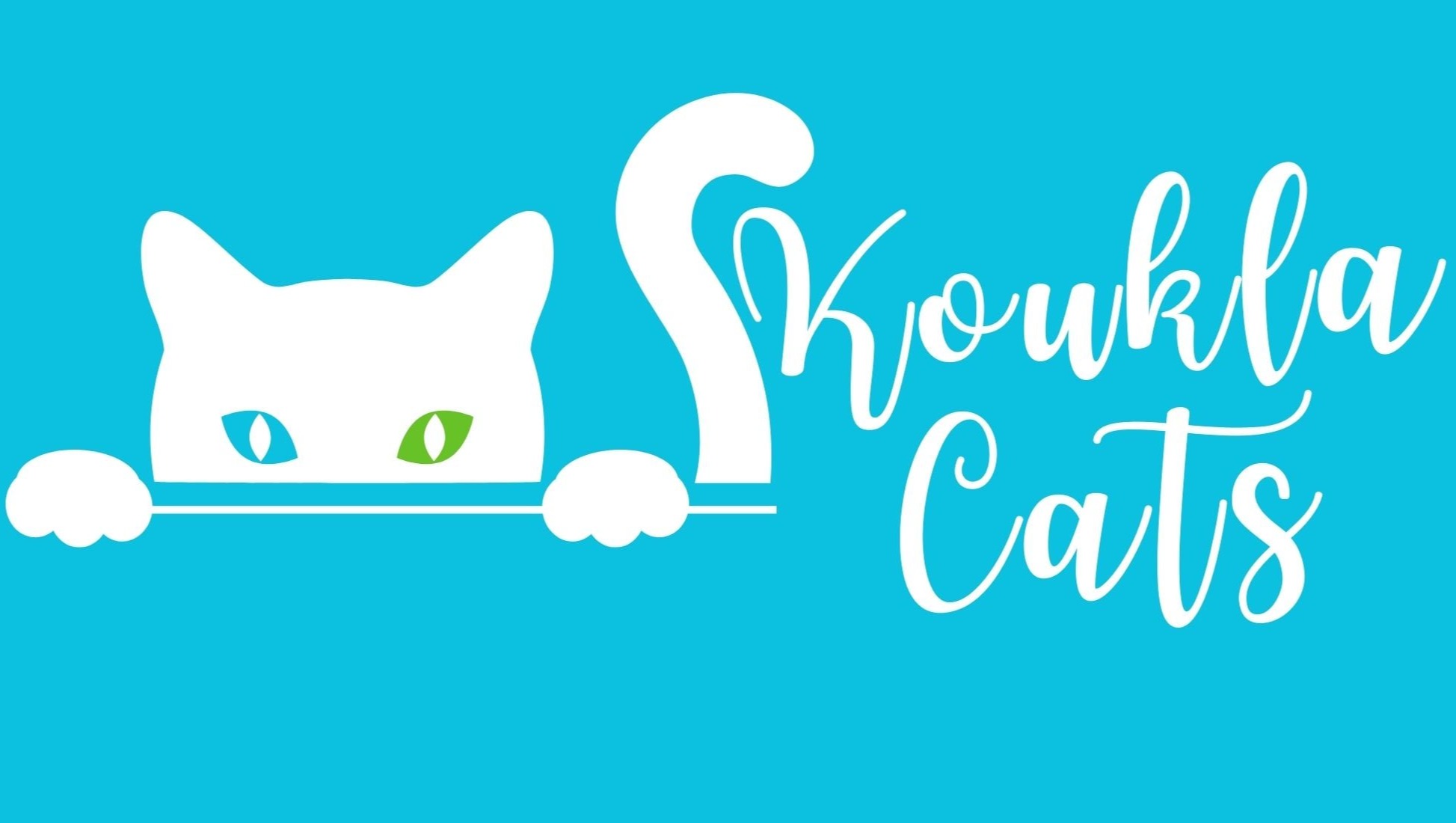 Fundraiser by Elly Adams : Help to protect the most vulnerable Koukla Cats