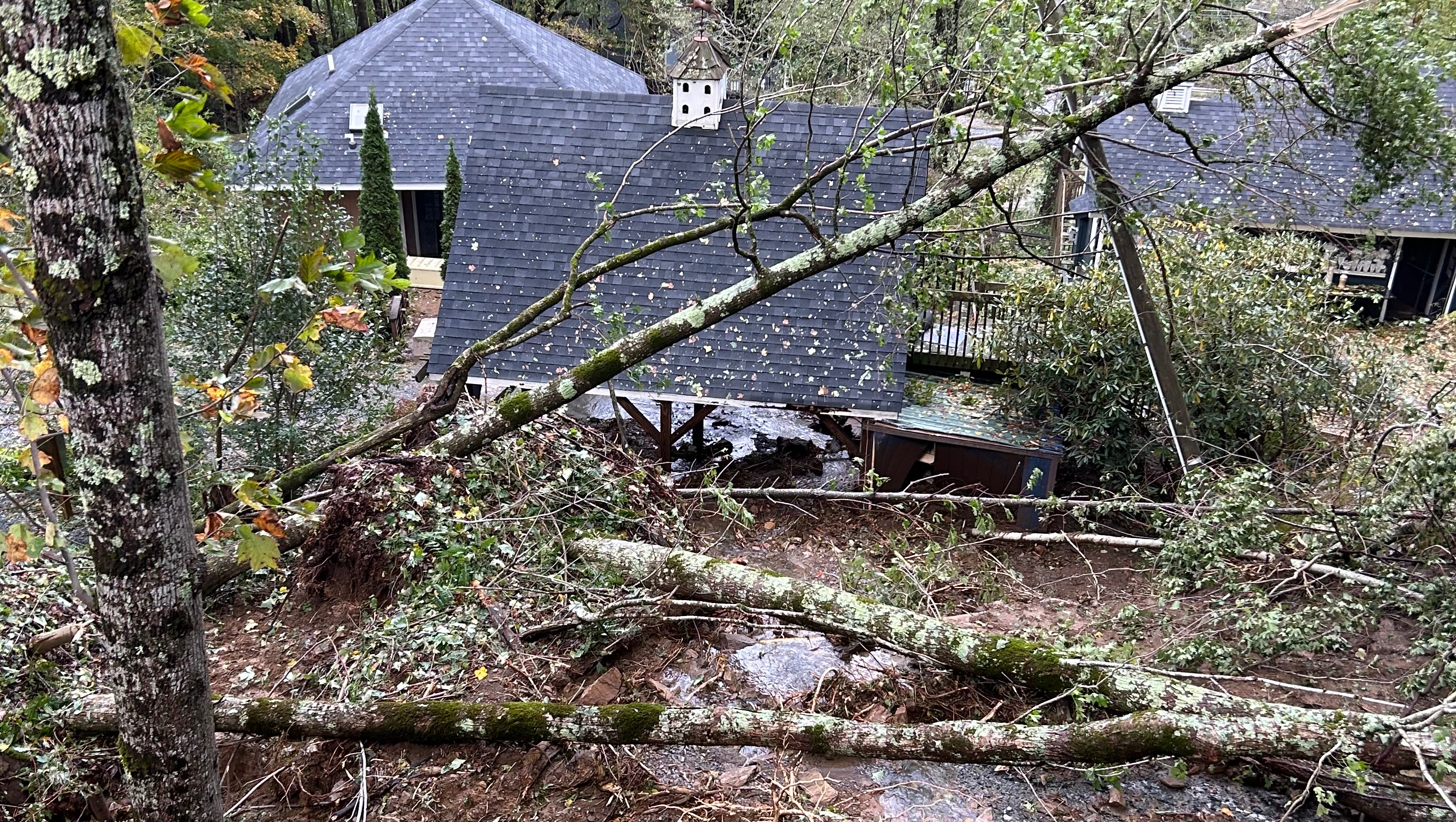Fundraiser by Sarah Lehmann : Help Karen Rebuild After Hurricane Helene
