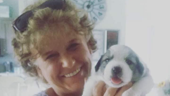 Fundraiser for Rhonda Lambert by David Faussett : Help Rhonda Rebuild ...