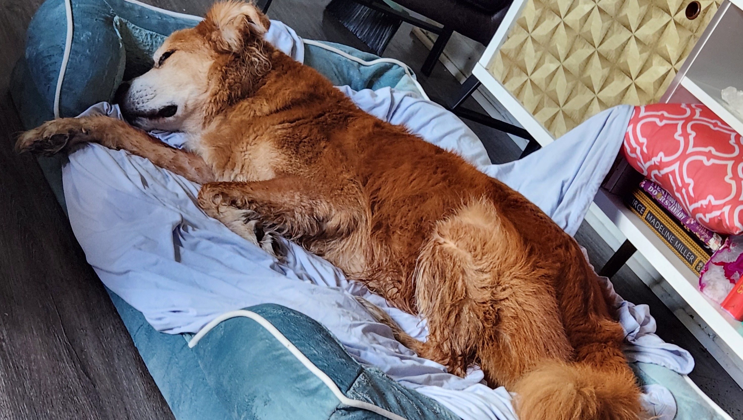 Fundraiser by Stephanie Konzen : Please help us rebuild after losing it ...