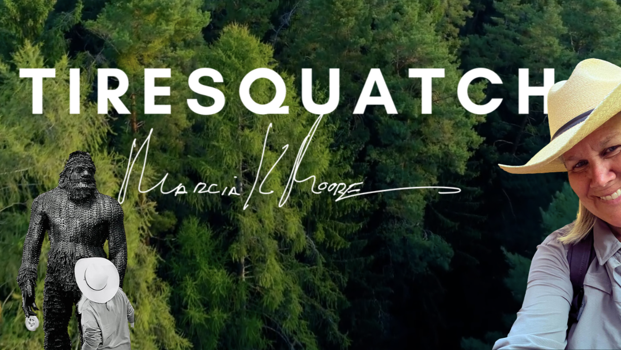 Fundraiser for Marcia Moore by Cindy Carter : Restore Marcia's Studio ...