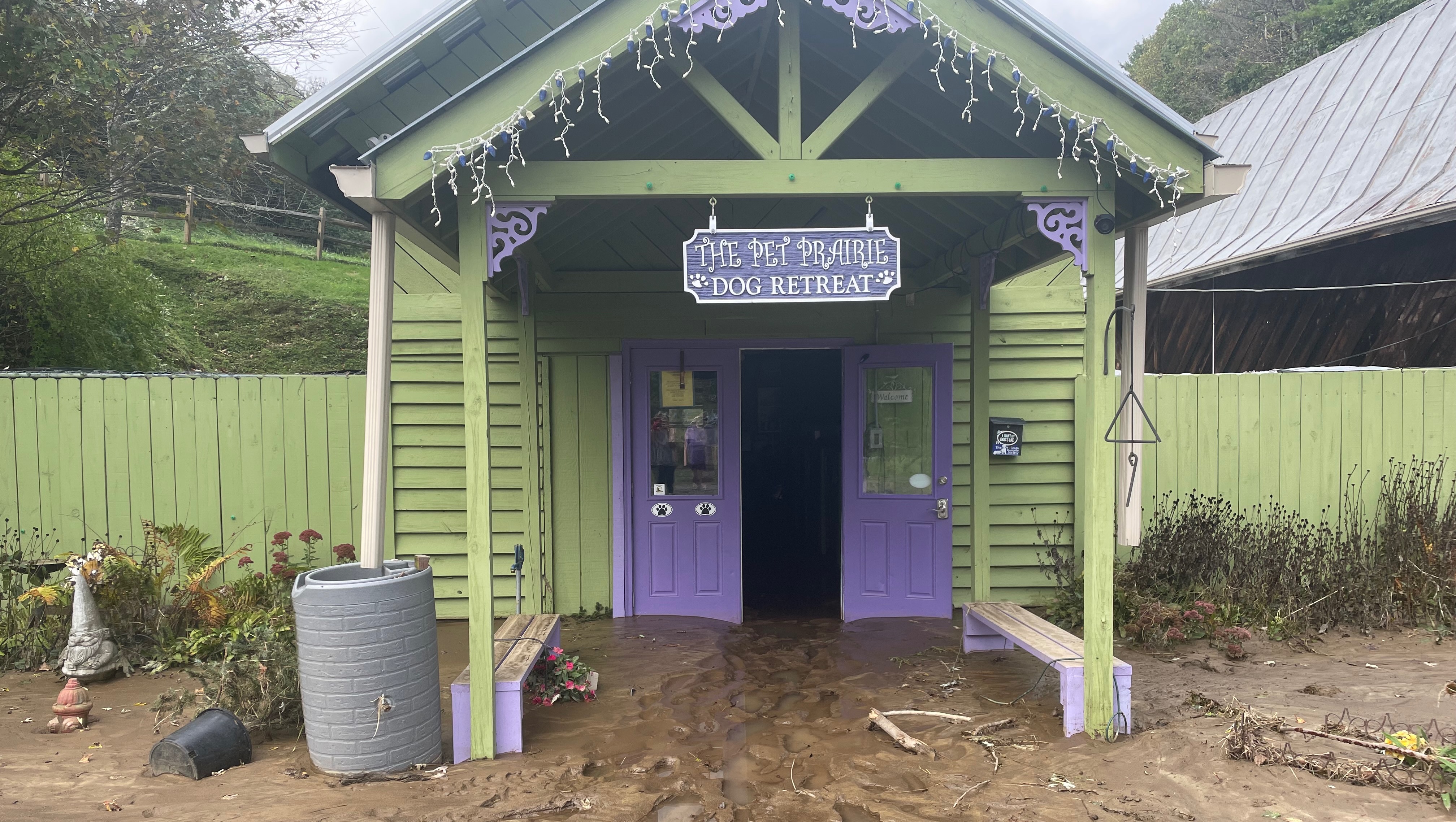 Fundraiser for Lora Campbell by Cas Snyder : Support Our Beloved Pet ...