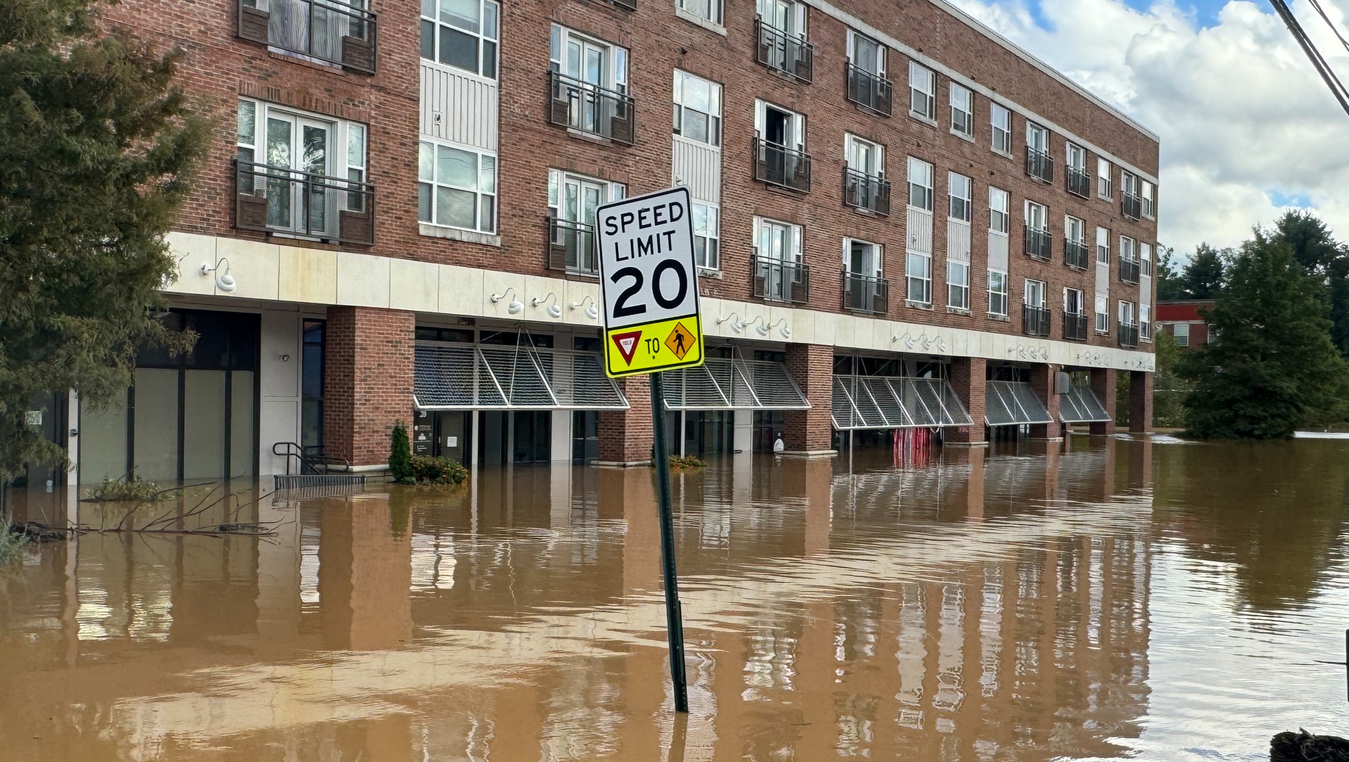 Fundraiser for Patricia Renshaw by Kerri Rivers : Help Tricia and ...