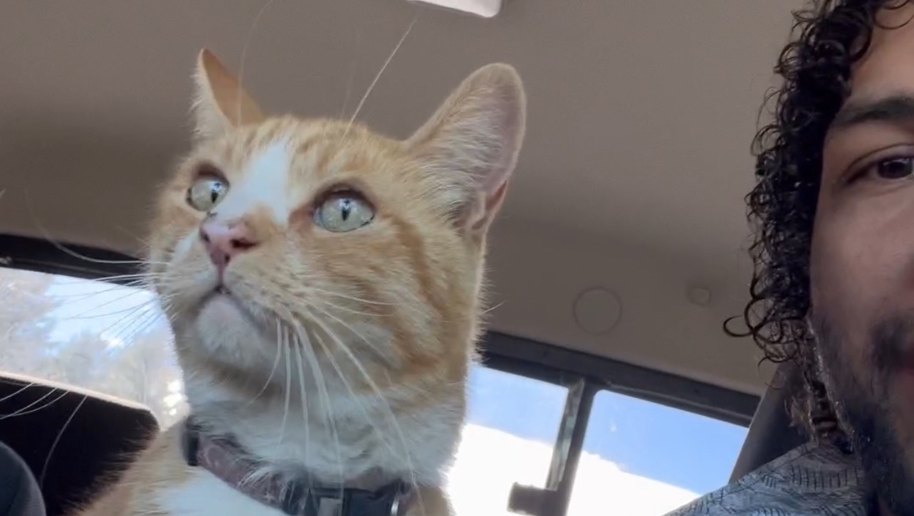 Fundraiser by Christopher Watson : Aid Kevin and Friends with Vet Expenses