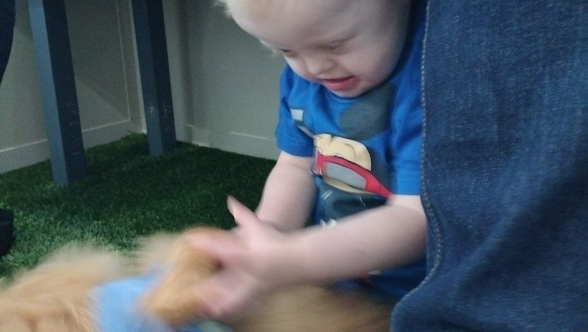 Fundraiser for Jennifer Garst by Jennifer Garst : Help Luka Get a Life ...