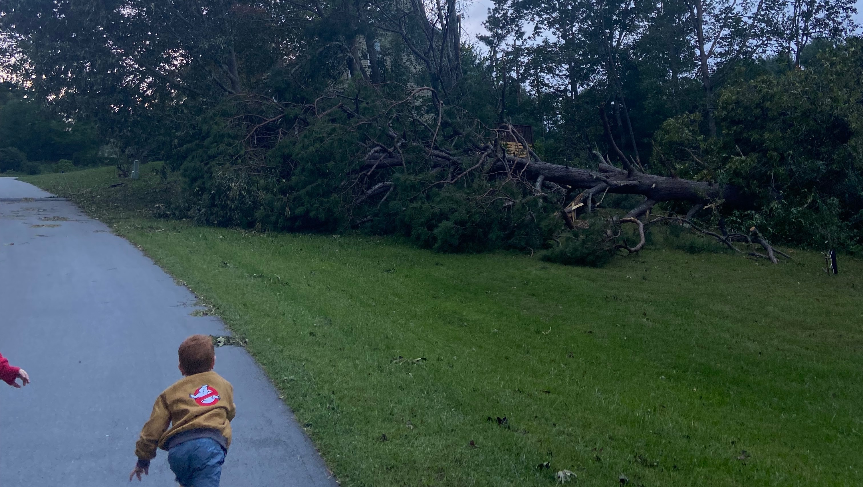 Fundraiser by Jessica Stepp : Help Jessica's Family Recover from ...