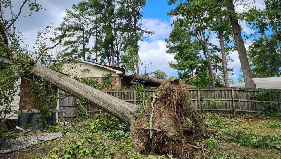 Fundraiser for Jill Rigsby by Teri Lynn Caughie : Aid MadAlyice's ...