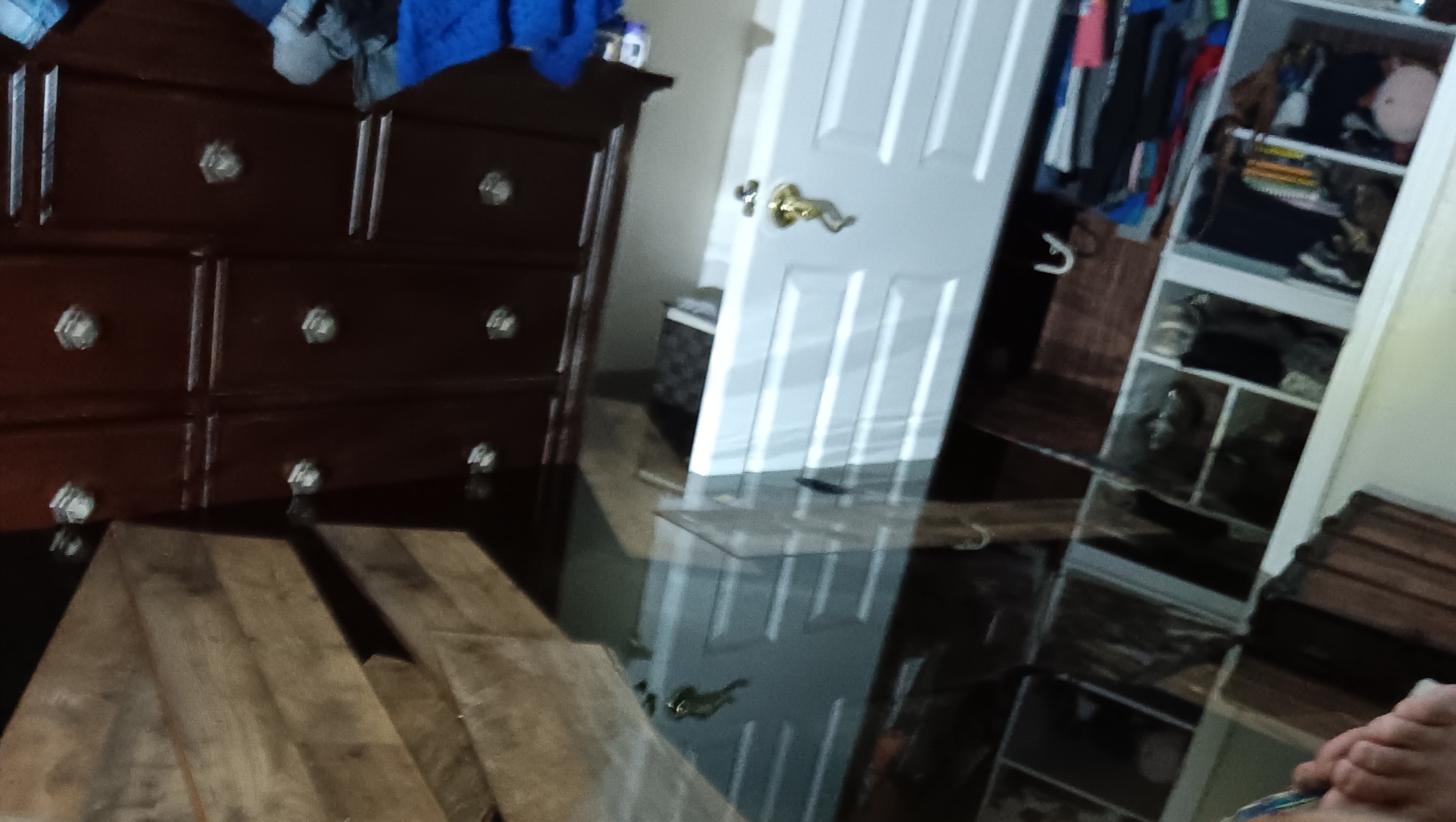 Fundraiser by Jessica Pinner : Support Victoria's Recovery from ...