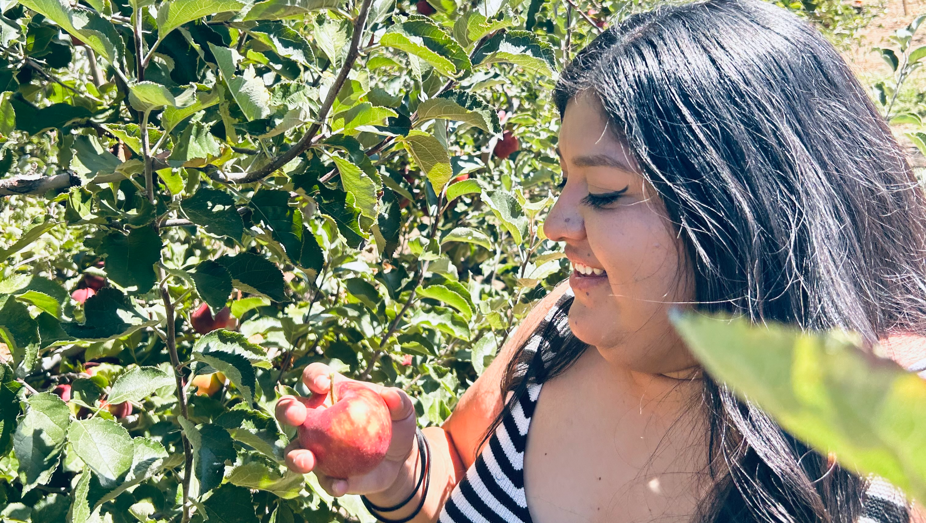 Fundraiser for Daisy Perez by Reina Rodriguez : Hope for Daisy: Help ...
