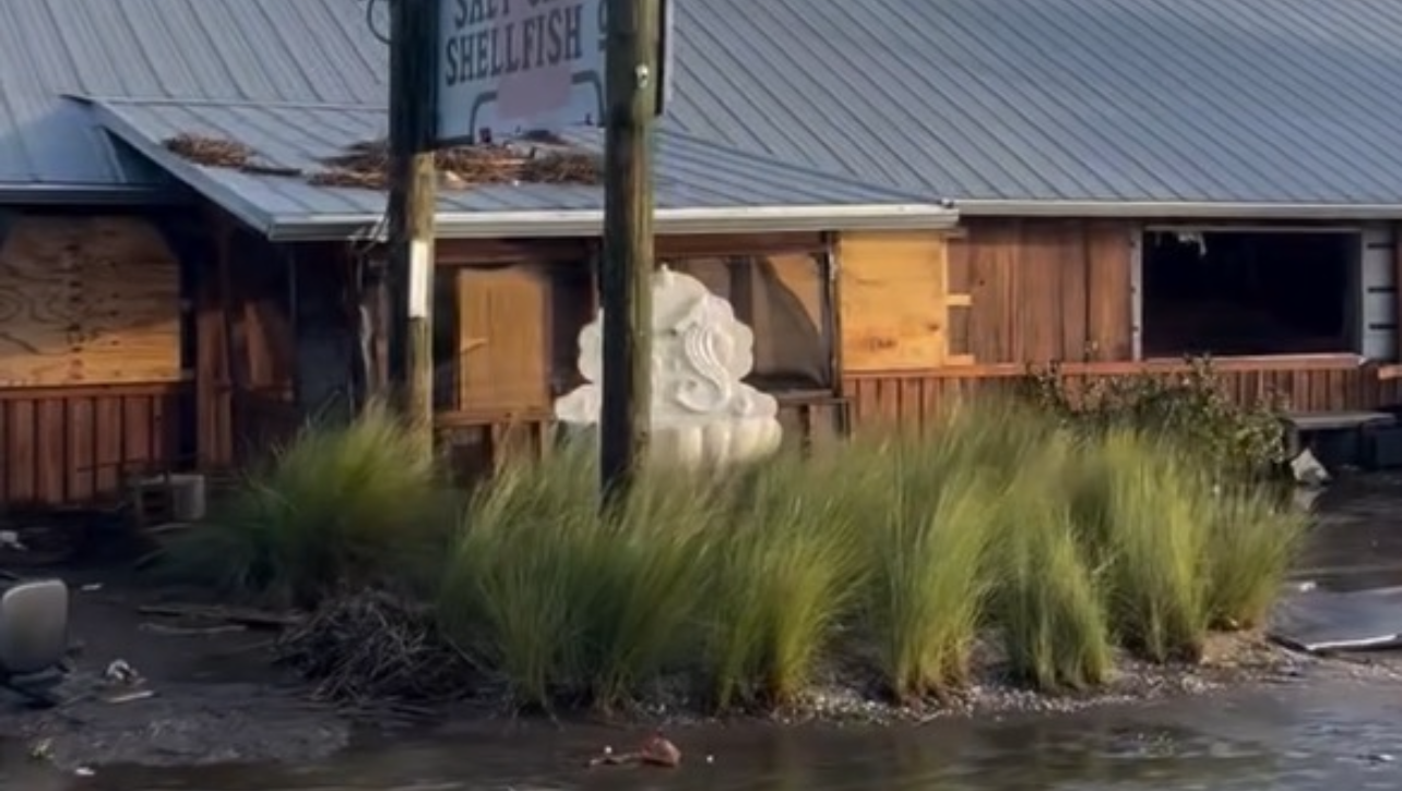 Fundraiser by Tom Hamlin : Restore Our Beloved Salt Creek Shellfish ...