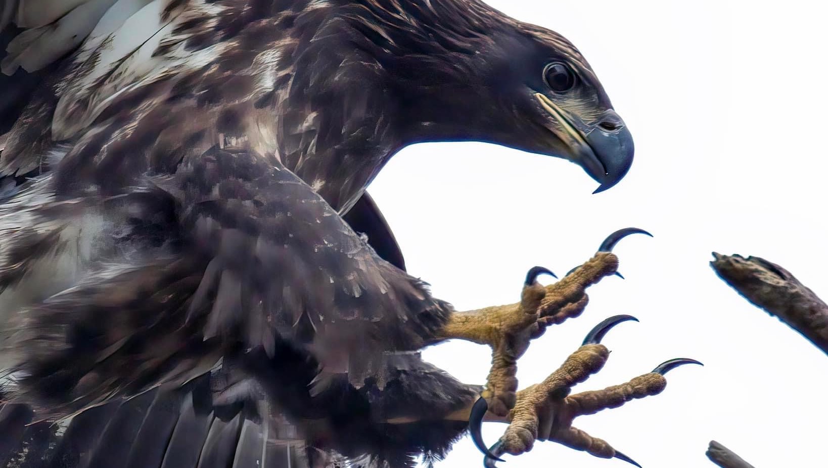 Fundraiser by Ken Rohling : Help Ken Rebuild After Hurricane Helene's ...