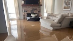 Fundraiser for Elizabeth Schane by Valerie Blohm : Help Elizabeth ...