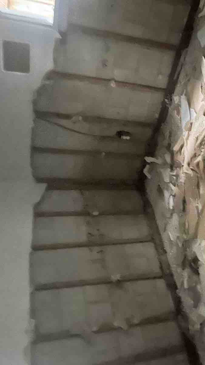 Fundraiser by James Kostopoulos : Help Elissa and Bobby recover from ...