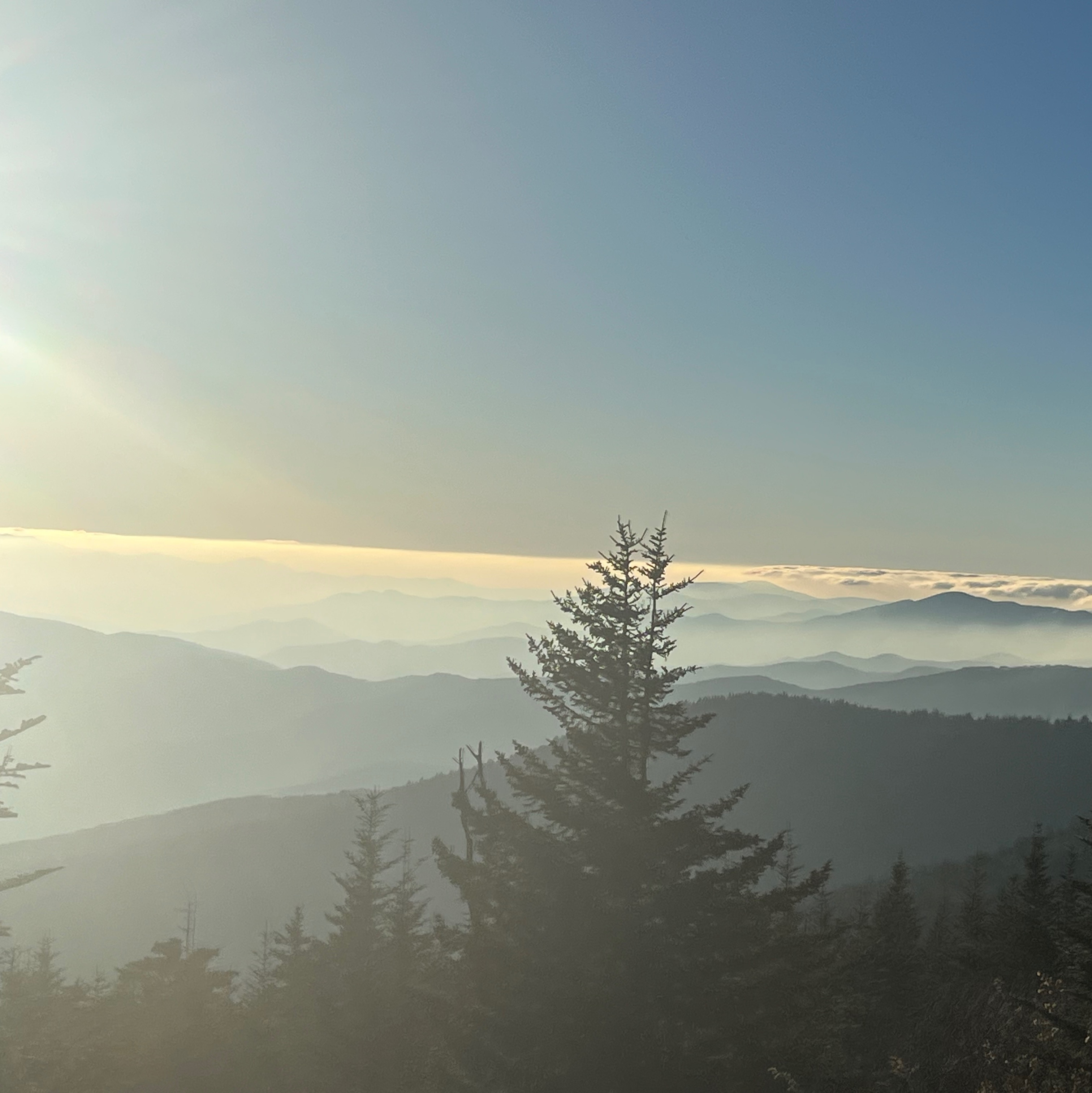 Spendenaktion von Nicki Flesher: Together for Healing in NC and TN ...