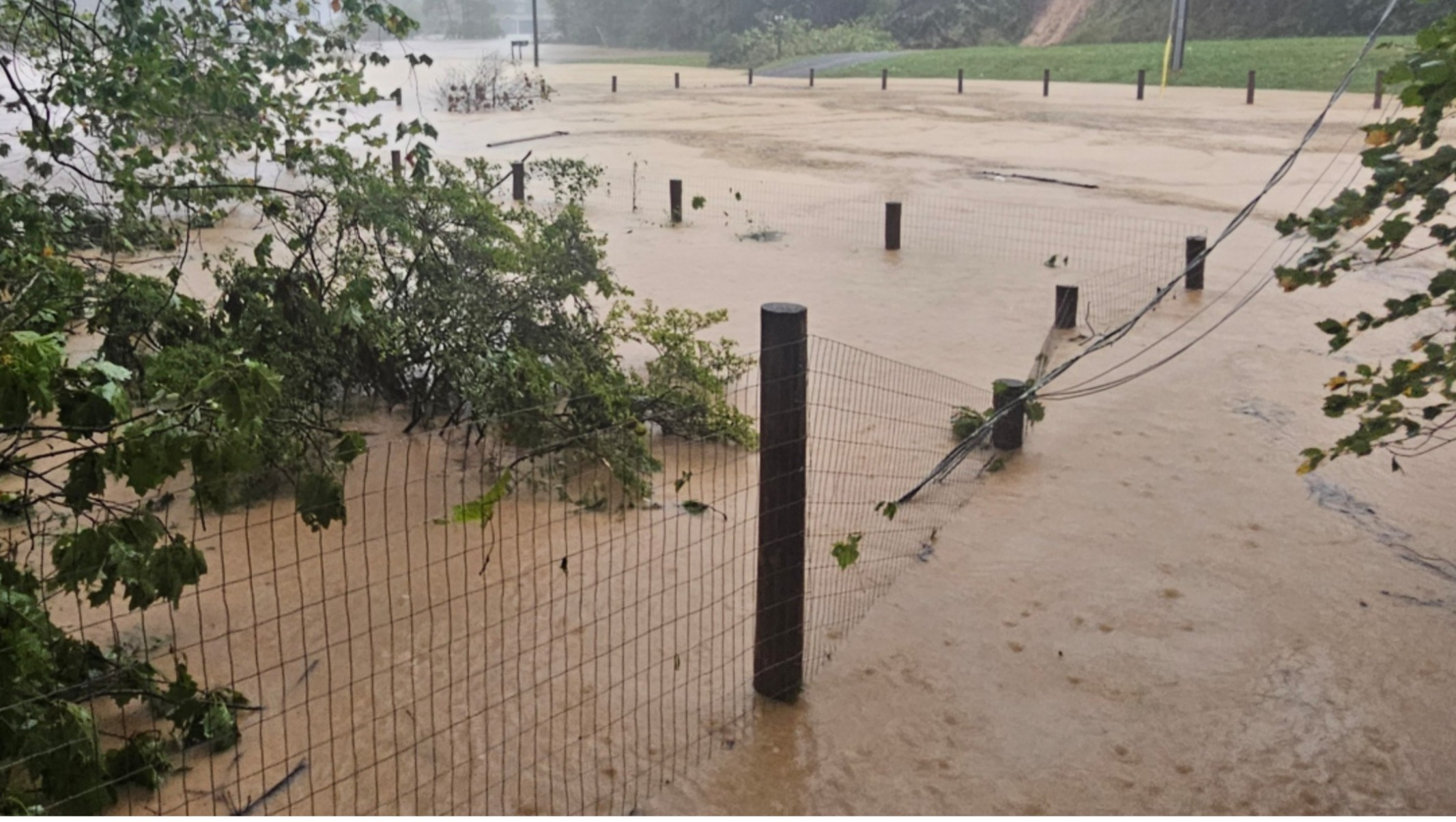 Fundraiser for Ryan Brown by Alicia Menchaca : Help Ryan and Carmen ...