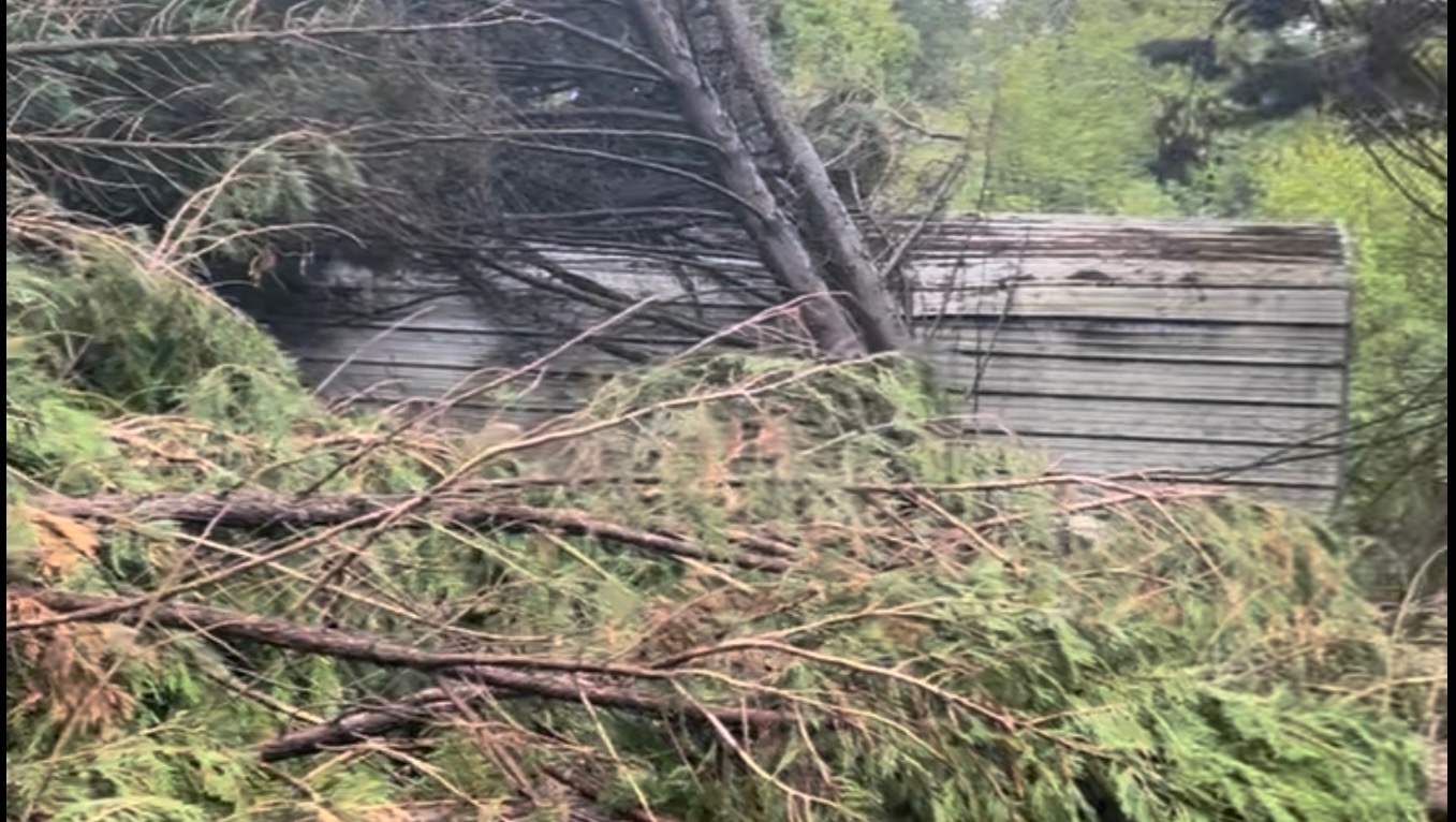 Fundraiser for Lyn Webb by Scott Balows : Support Lyn's Recovery After Hurricane Helene