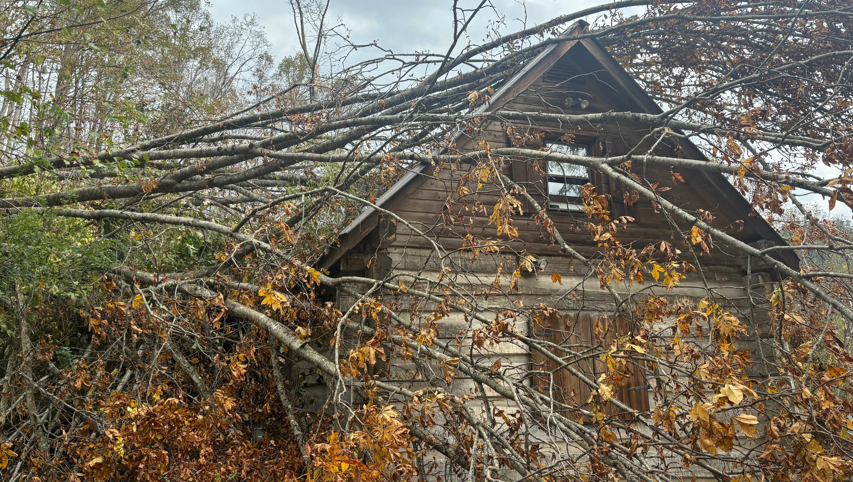 Fundraiser by Ian MacPhee : Support the MacPhee Family After Hurricane ...