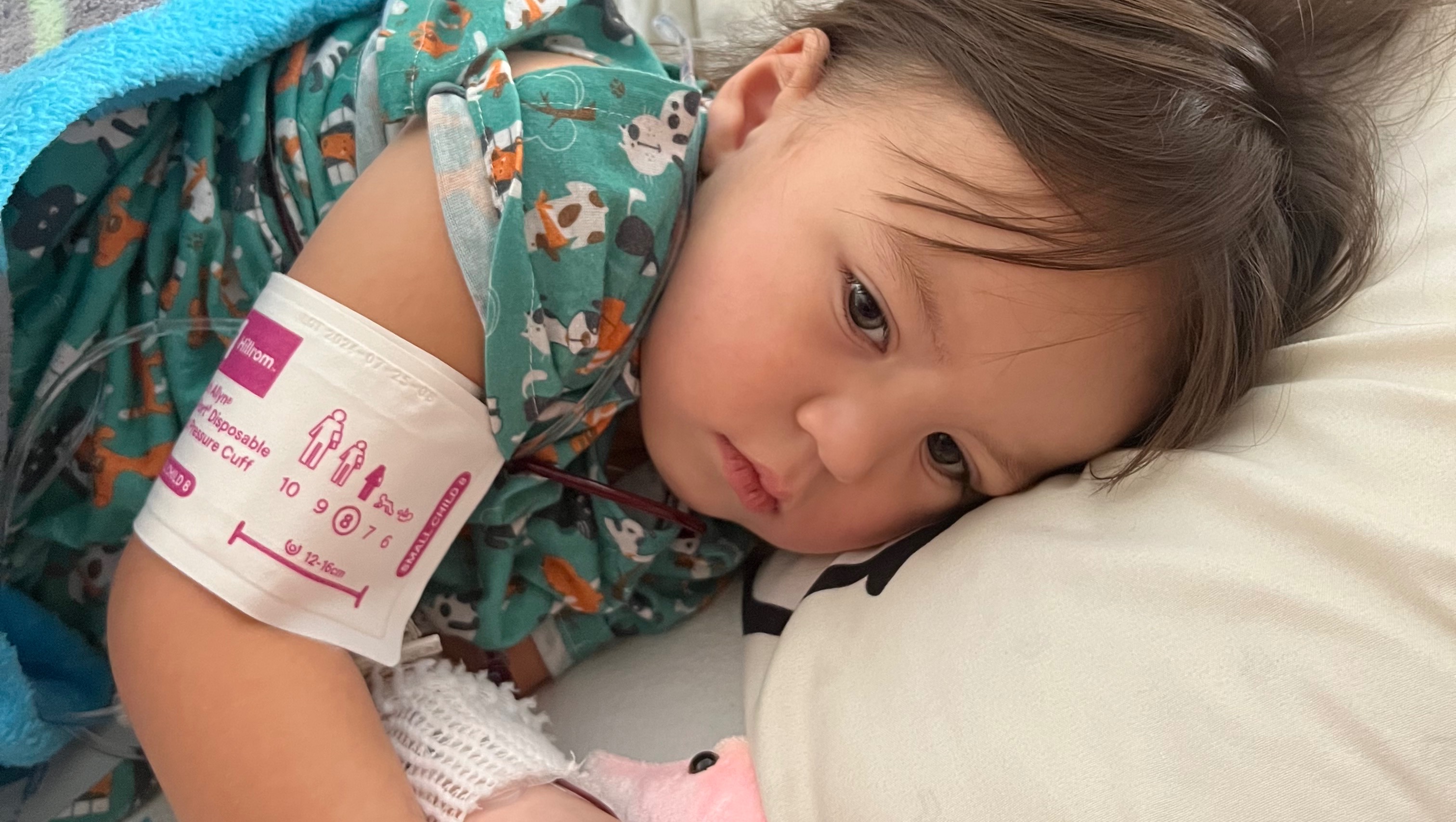 Fundraiser for Jordan Reed by Mckyna Reed : Support Ember's Fight Against HUS