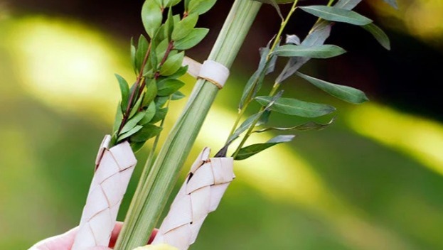 Fundraiser by East River Succah : Support Our Community Succah Yom Tov ...