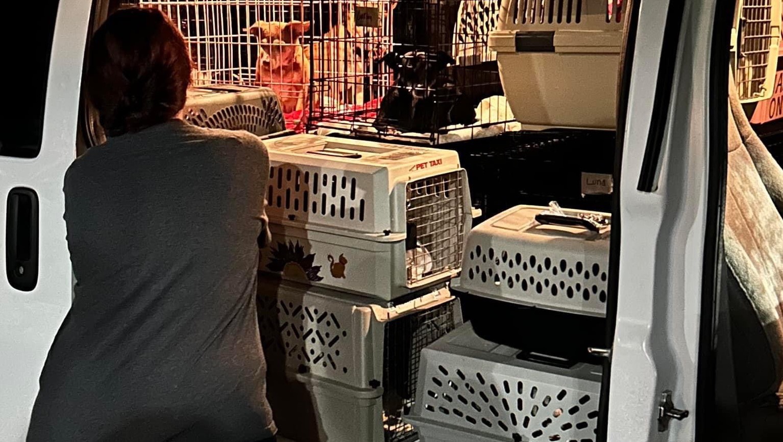 Fundraiser by Madison Cummins : Support Happy Feet Rescuing Hurricane ...