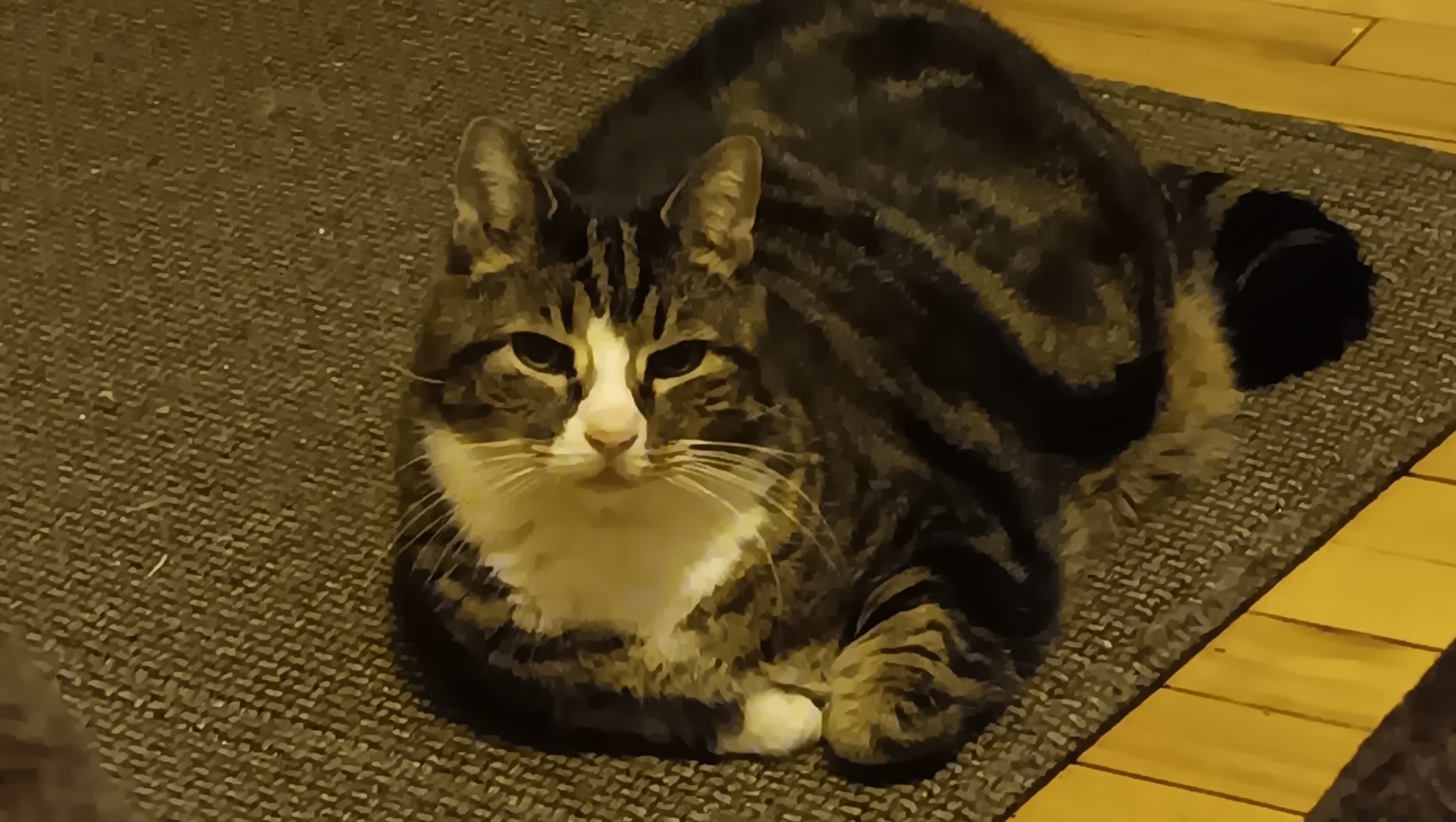 Fundraiser by Andy Williams : help us rebuild after losing everything ...