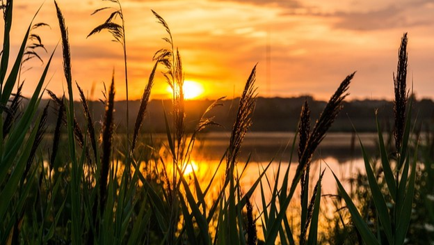 Spendenkampagne von Karen Beckett für Mike Honaker: Help Mike Rebuild ...