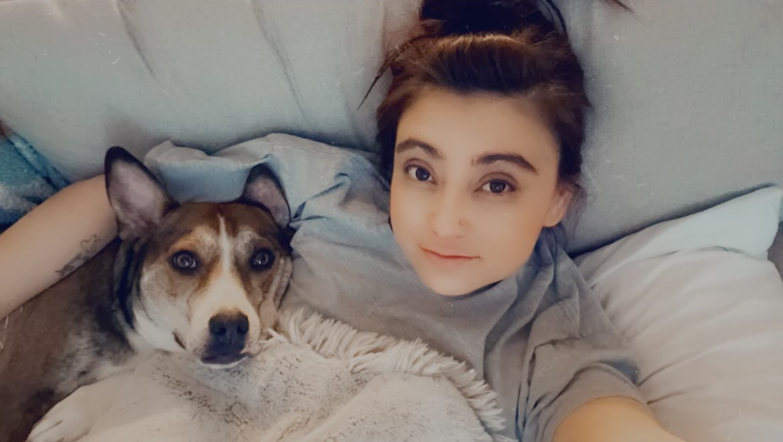 Fundraiser by nicole trujillo : Help Chloe the Boxer Mix Get Life ...