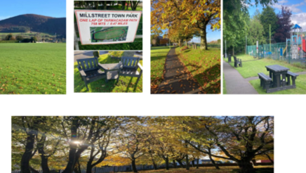 Fundraiser by Millstreet Town Park Committee : Save our Town Park