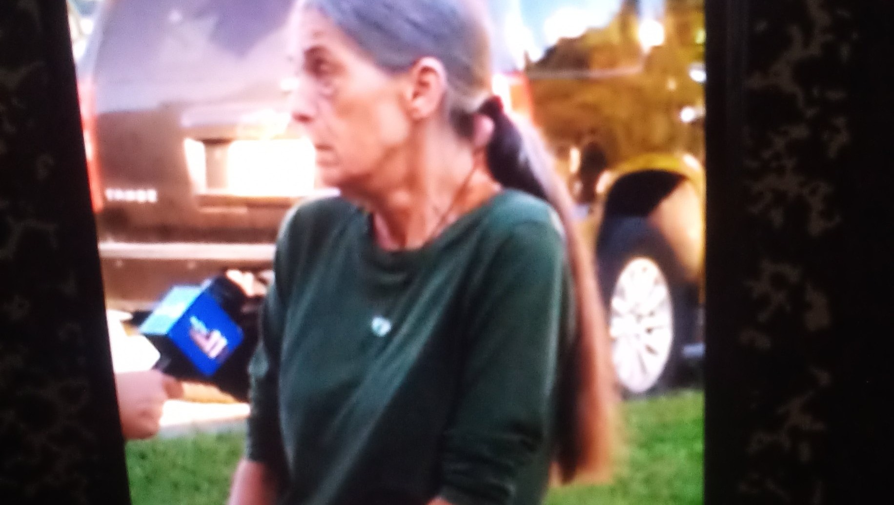 Fundraiser by Anna Estep : Hurricane Helene Survivor Lynn Grieves ...