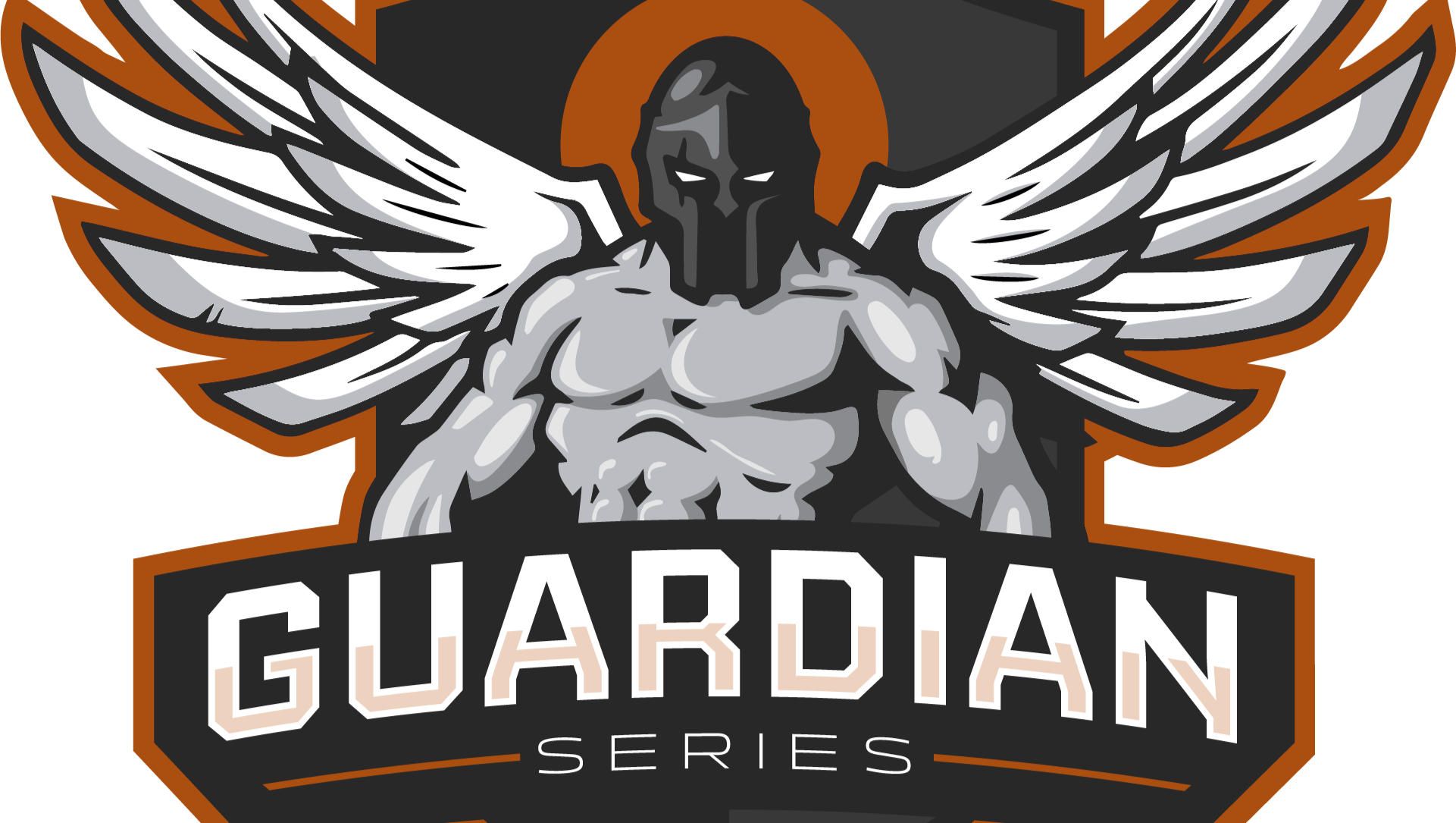 Fundraiser by Charles Seidel : Help Guardian Series Expand Free Youth ...