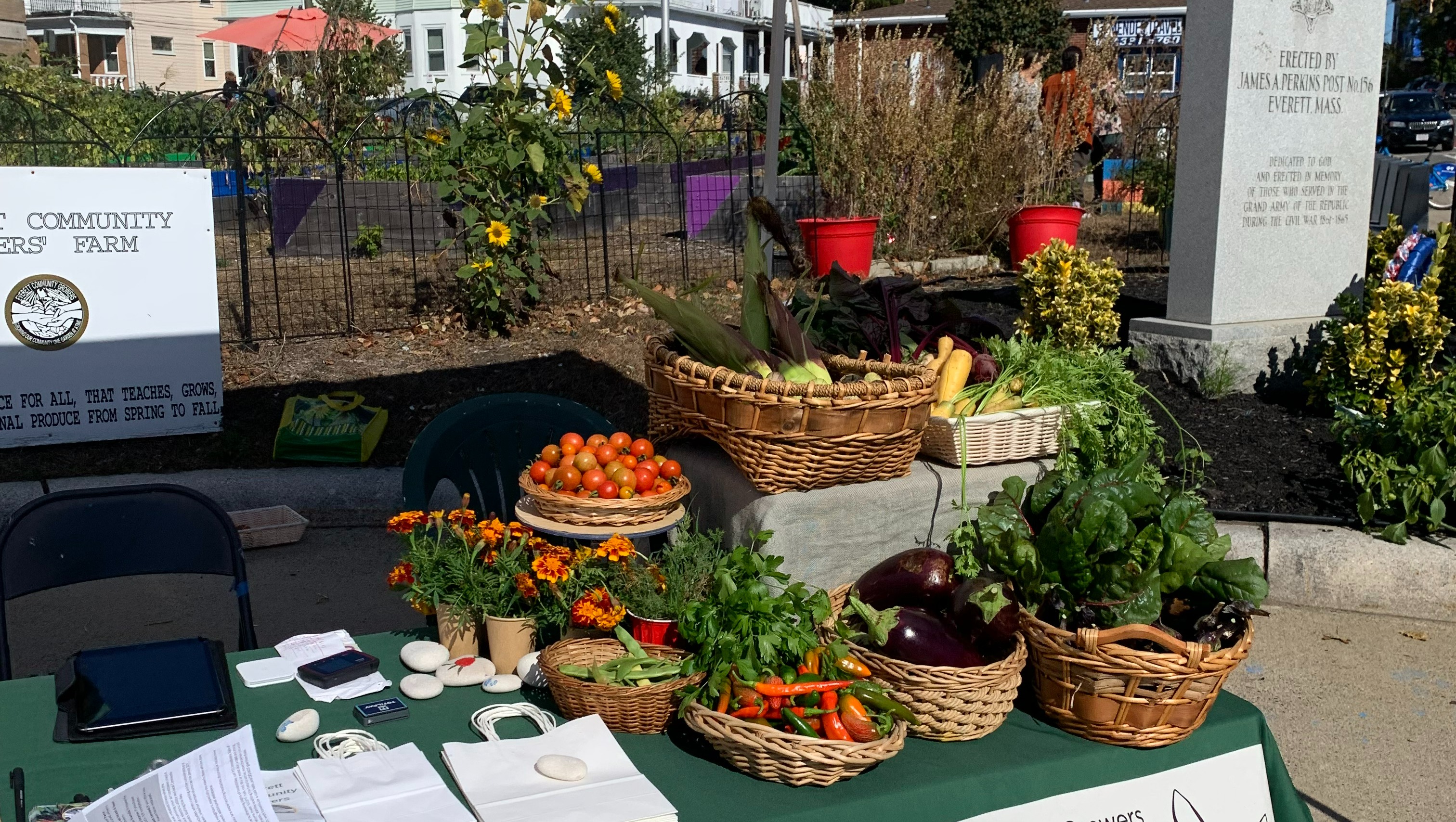 Fundraiser by Everett Community Growers : Everett Community Growers Resiliency Fund