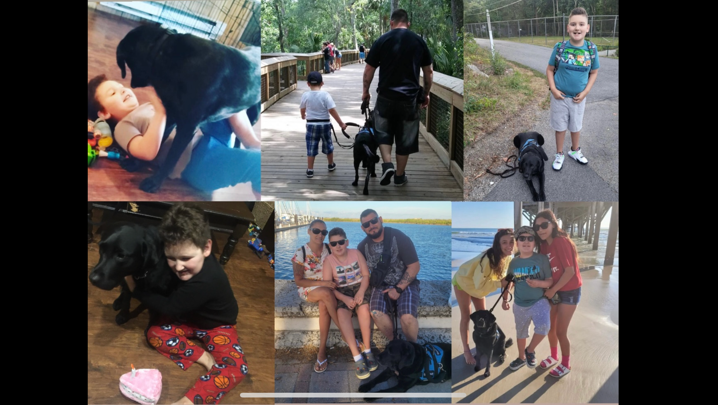 Fundraiser by Sandra Vogt : Donate to Save Elana, Devin's Guardian Angel