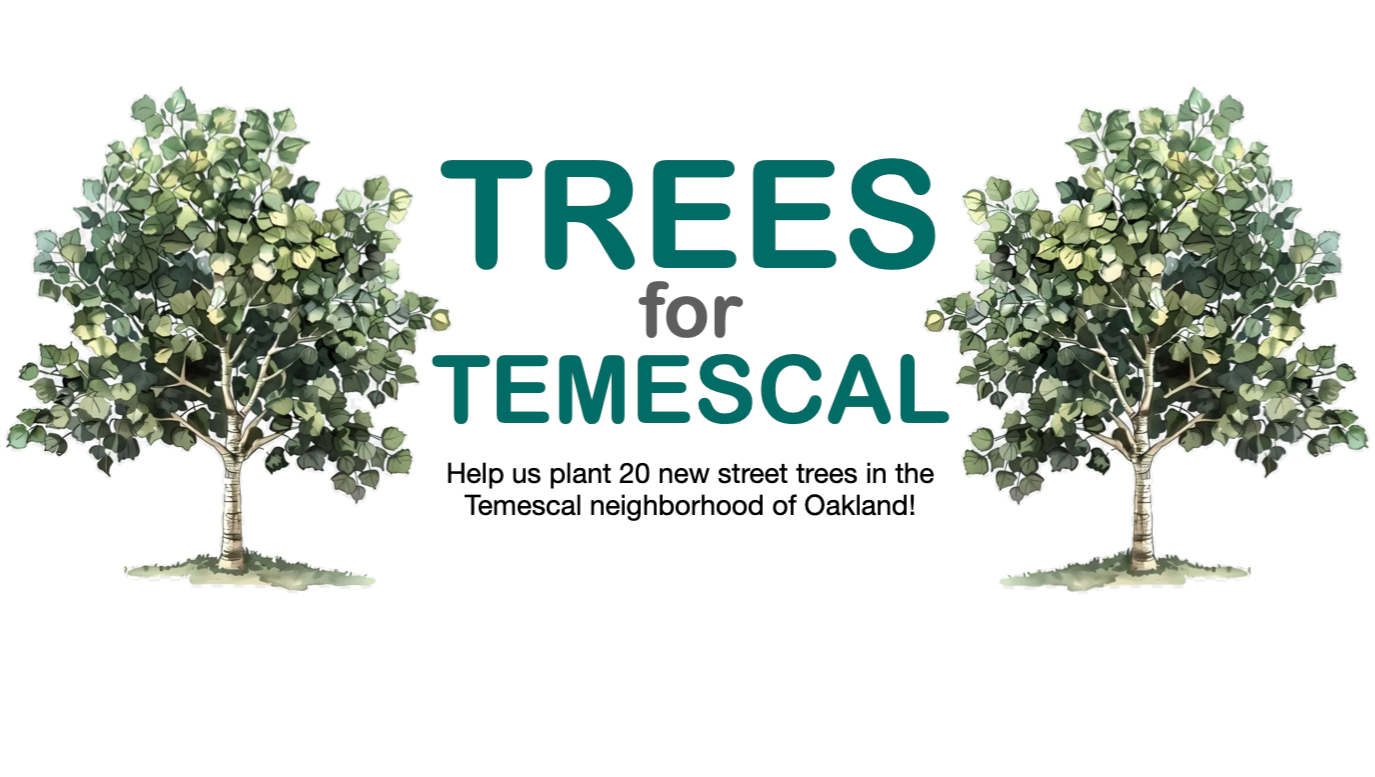 Fundraiser by Lisa Regul : Help Temescal Neighbors Plant Trees