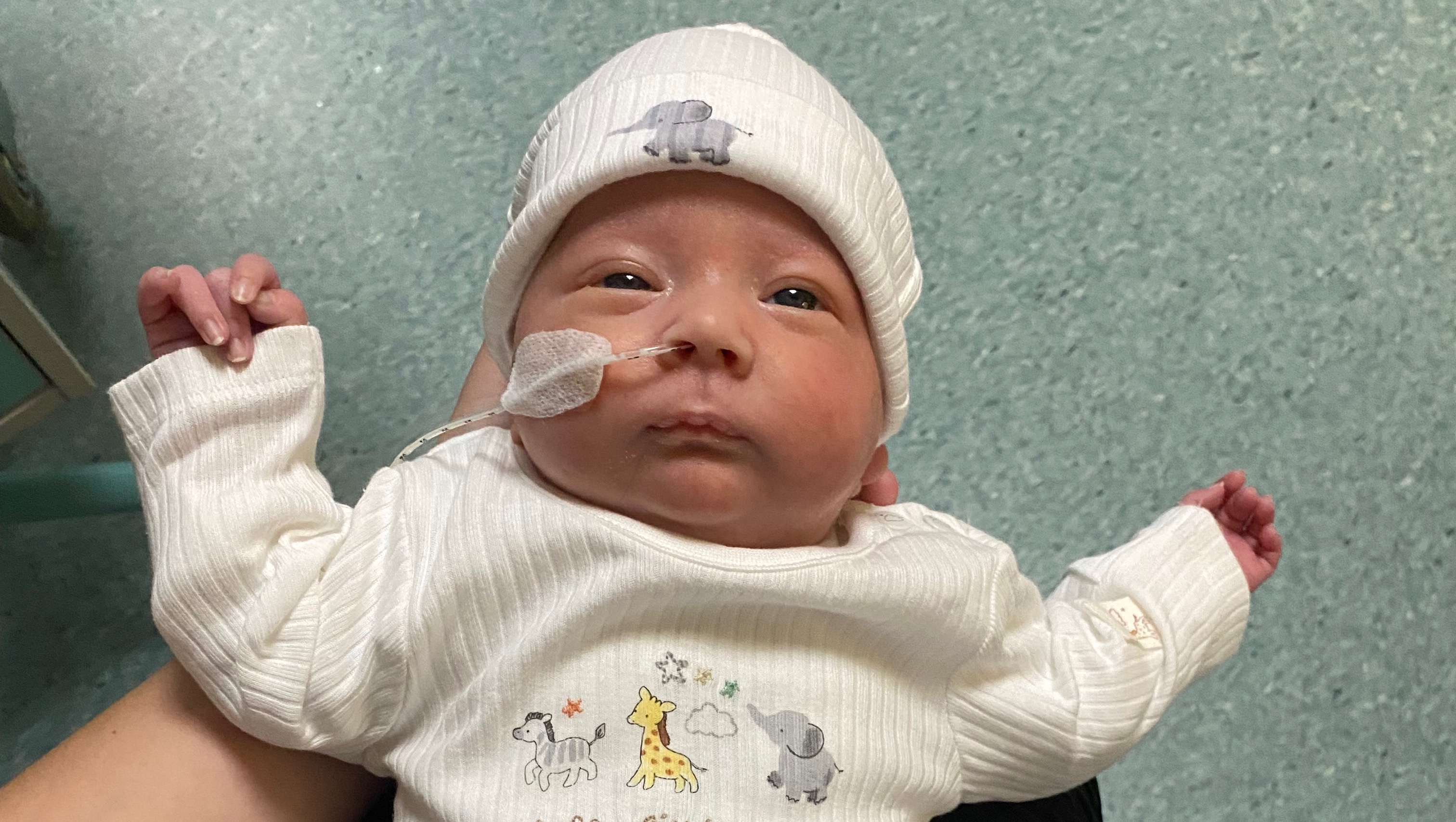 Fundraiser by Paige Knowlson : Vinny’s Story