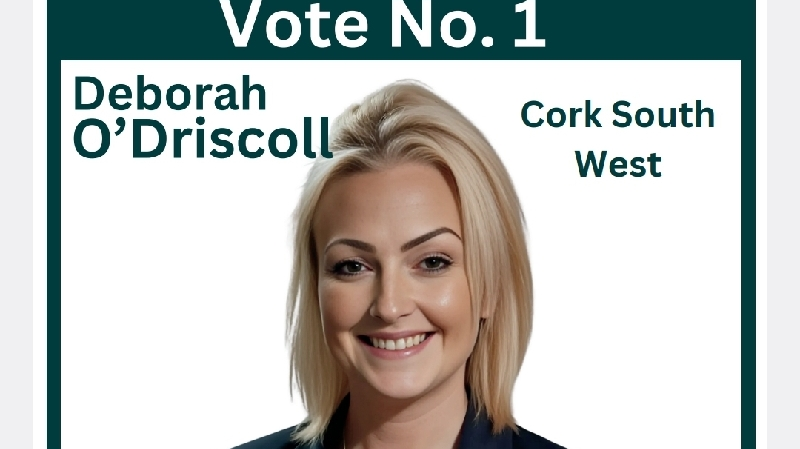 Fundraiser by Deborah O' Driscoll : Smashing the Dáil doors in!