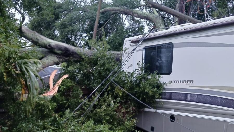 Fundraiser for Victoria Harrah by Letitia Farrell : Help Victoria and ...