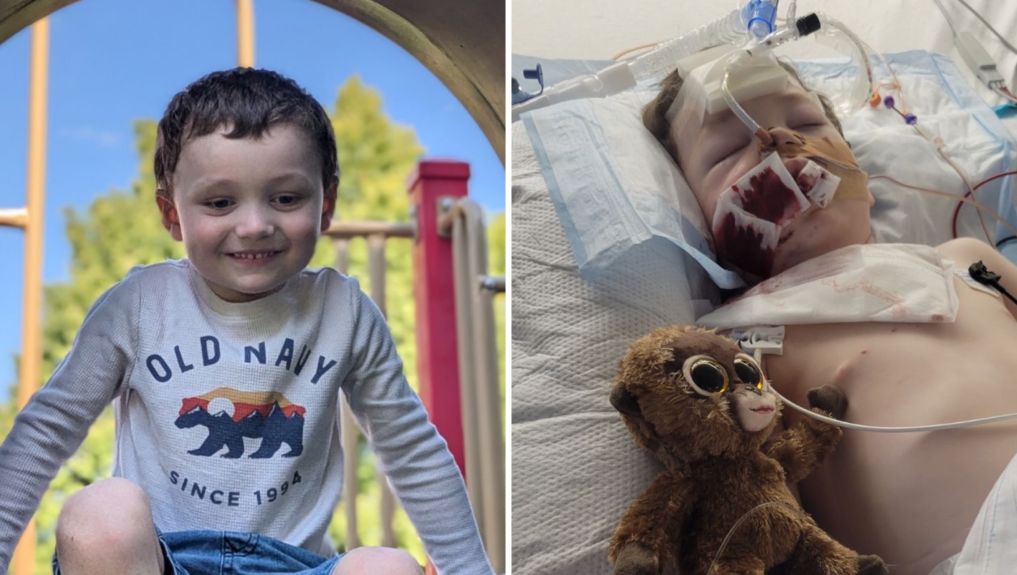 Fundraiser for Colin MacDonell by Declan’s Dino : Help 4yr Declan’s ...